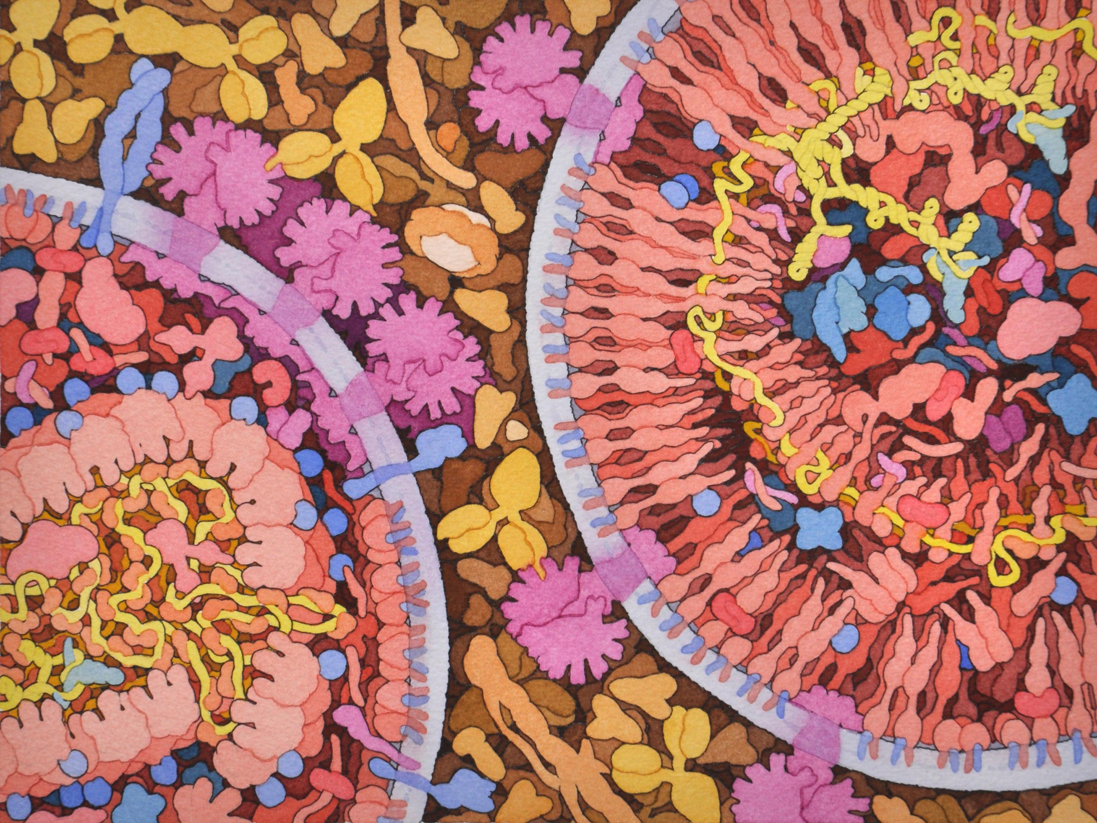 SCIENCE AND SOCIETY Potential for HIV cure beyond the state of the ART ...