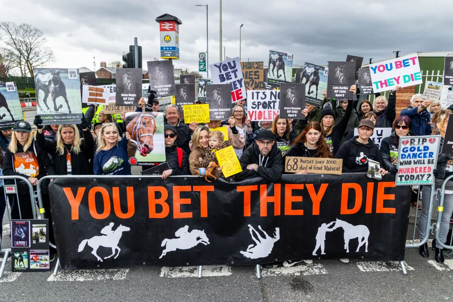 Animal welfare campaigners protest at Aintree during Grand National ...
