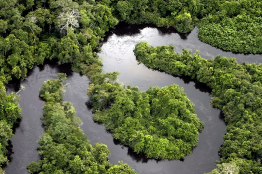 Amazon tribe dying at alarming rate from chronic malnutrition, report ...