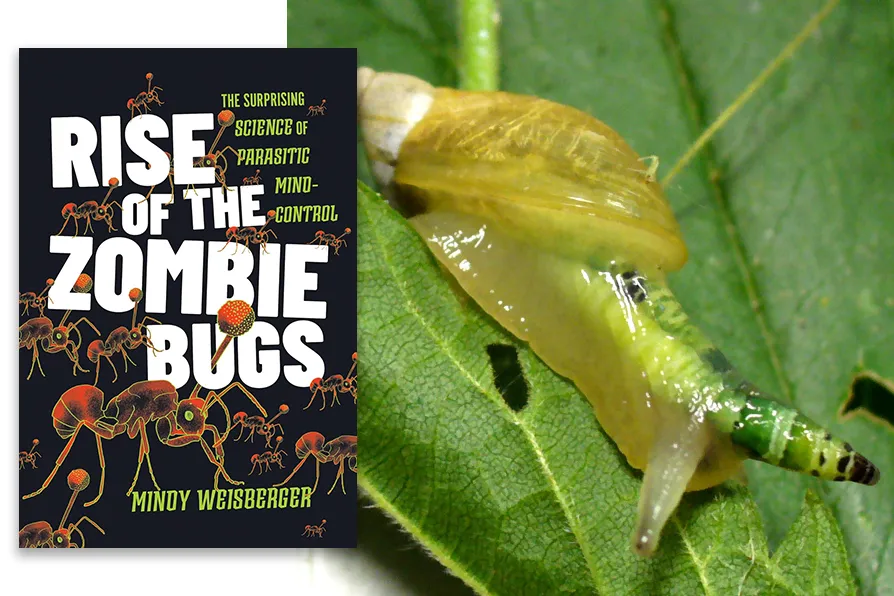 Parasitic mind control | Morning Star