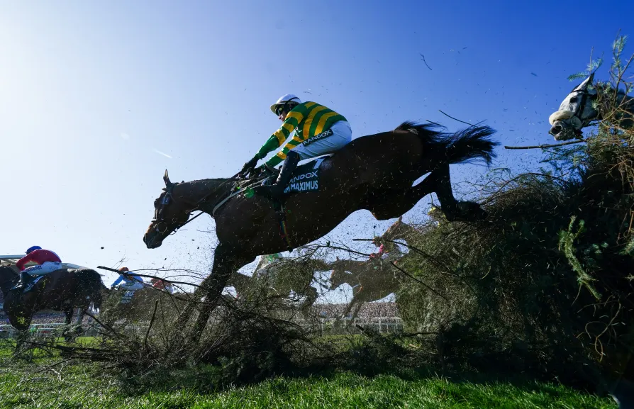 I Am Maximus headlines Grand National declarations | Morning Star