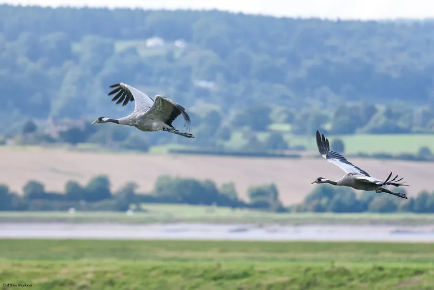 More than half of England's estuaries risk being ‘squeezed’ by climate ...