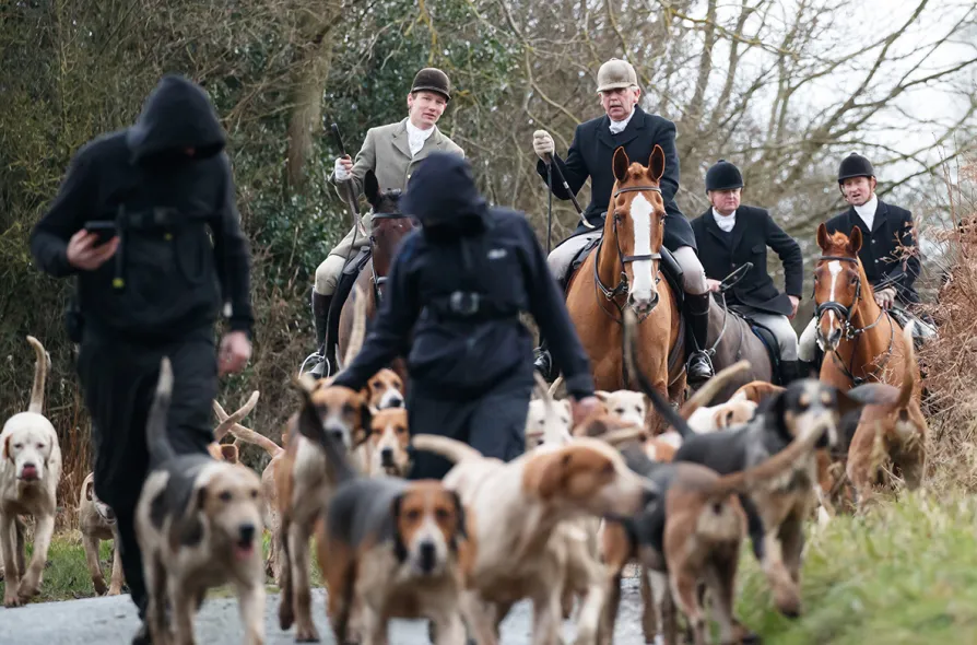 Campaign launched to stop fox hunting fundraising online | Morning Star