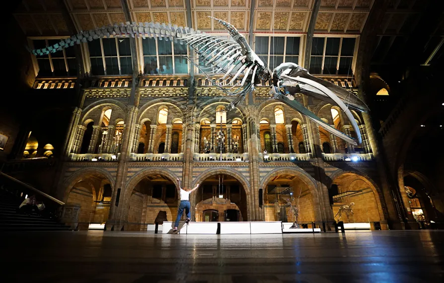 Security guards at Natural History and Science Museums announce half ...