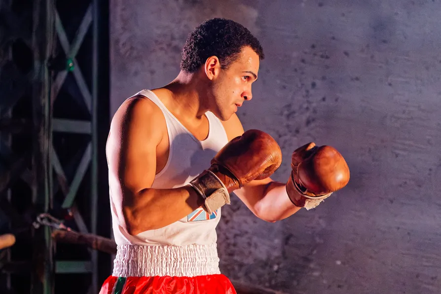 The Fight | Morning Star